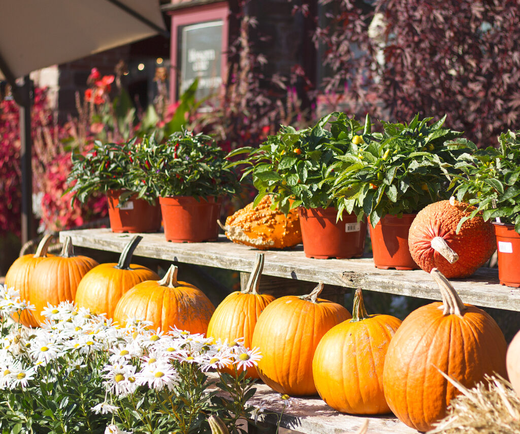 Skippack Village – Hotel Fiesole